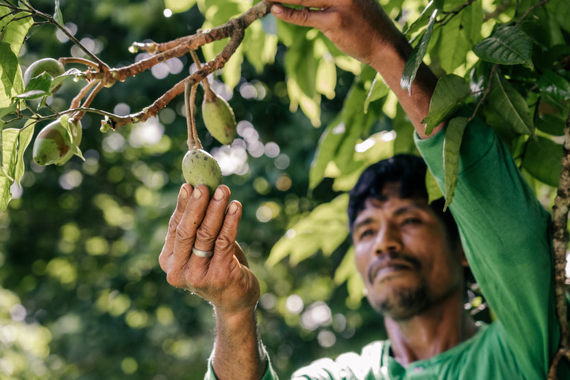 How We Give Back – Pili Ani PH