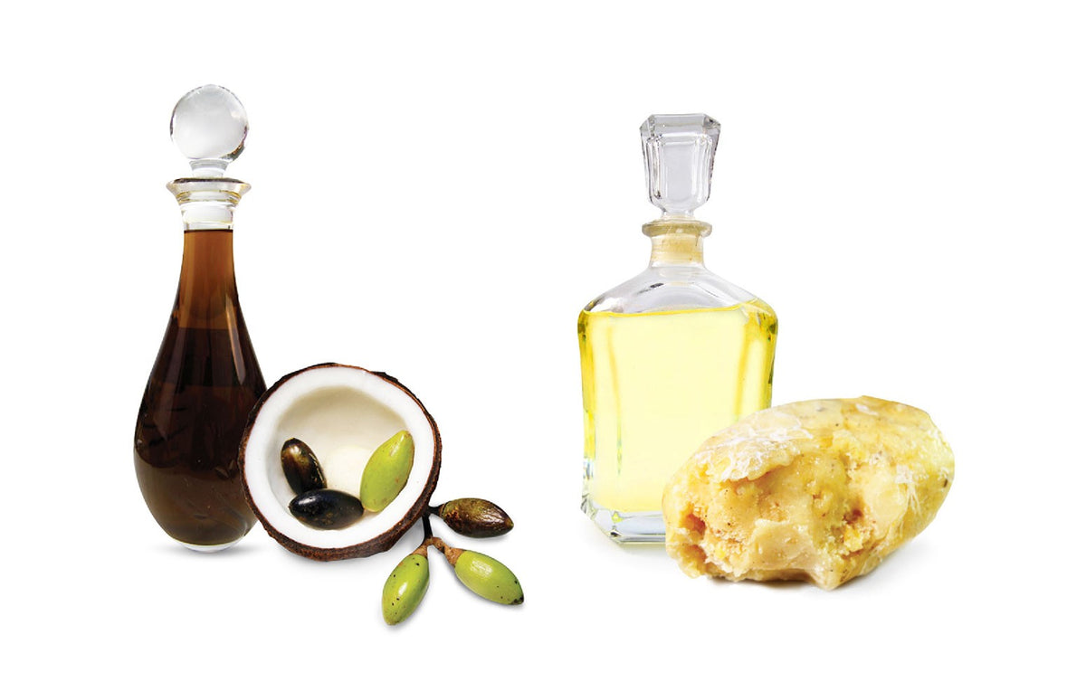 Elemi and Pili Oil – Pili Ani PH